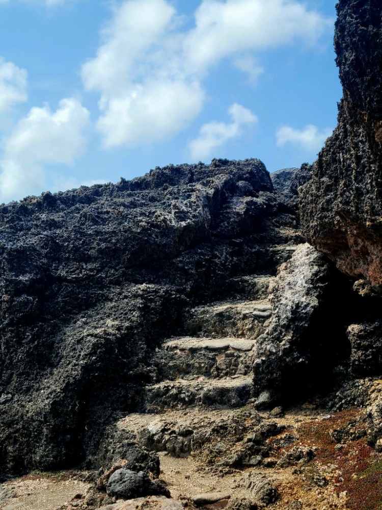 Guided Ascent
